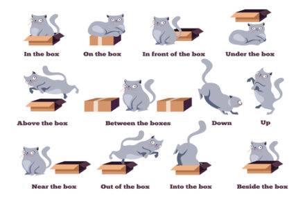 Types of Prepositions | A complete overview with examples - Blog ...